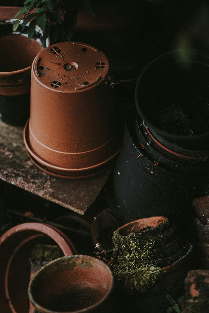 Eau de Dirt – Little Bee Scents™