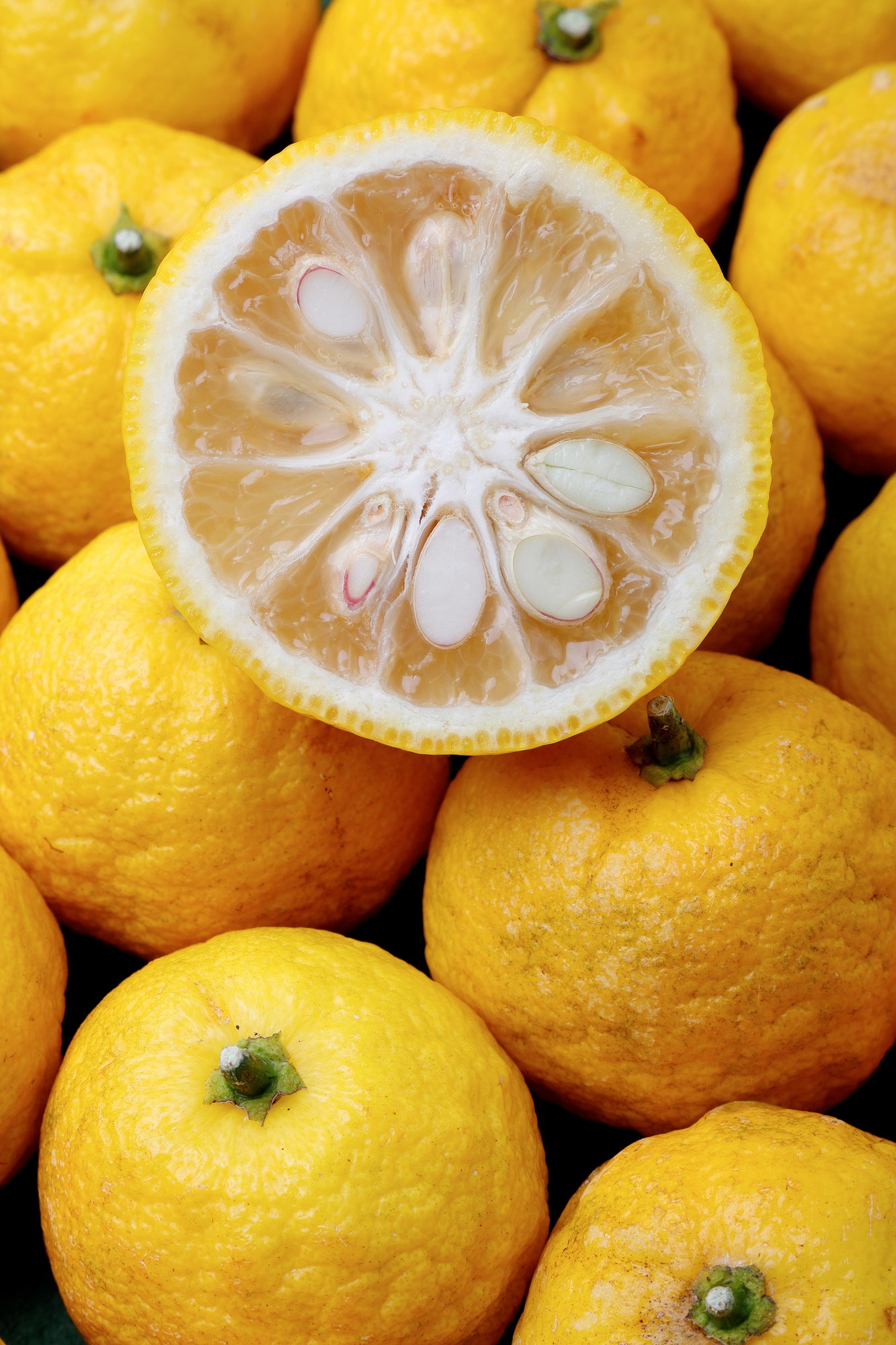 Imagine Me & Yuzu – Little Bee Scents™