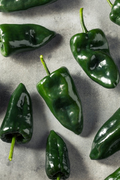 Poblano Pepper – Little Bee Scents™